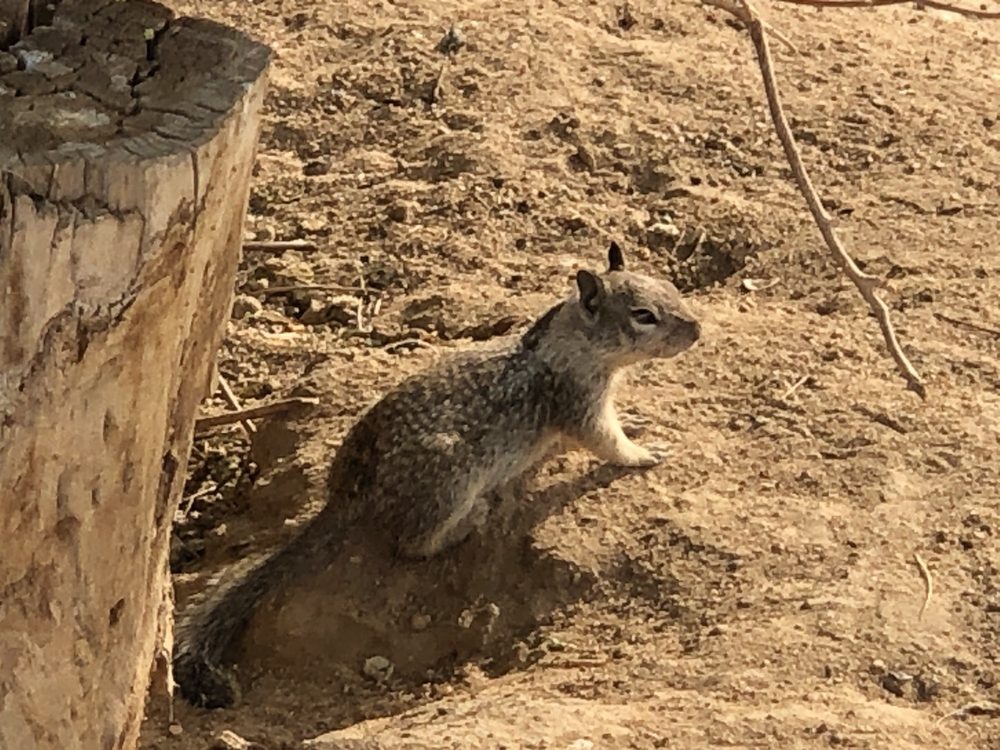 HESPERIA LAKE PARK & CAMPGROUND - Updated October 2024 - 133 Photos ...