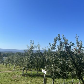 CHAMPLAIN ORCHARDS - Updated December 2025 - 94 Photos & 13 Reviews - 3597 VT Rte 74 W, Shoreham ...