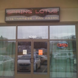 SPRING LOTUS RESTAURANT - Updated August 2025 - 69 Photos & 145 Reviews ...