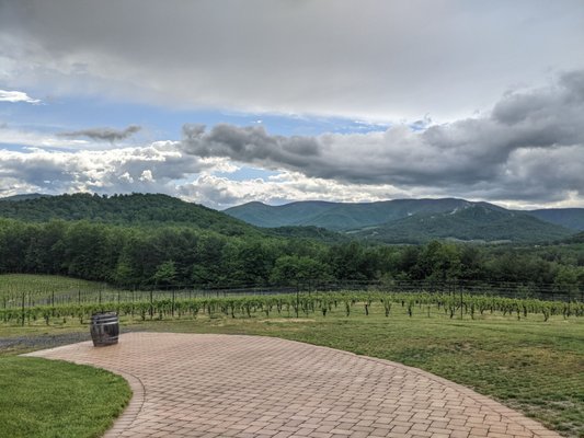 MOSS VINEYARDS - Updated May 2025 - 56 Photos & 38 Reviews - 1849 ...