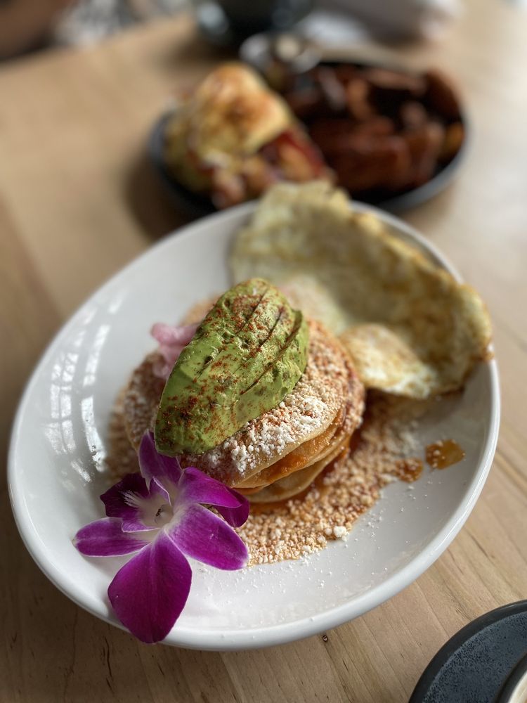 MUSE LOUNGE - Updated November 2025 - 338 Photos & 140 Reviews - 224 ...