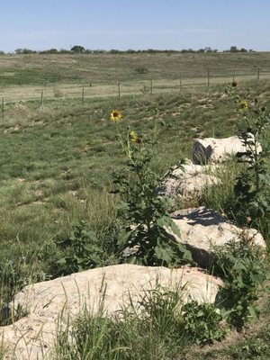 LUBBOCK LAKE LANDMARK - Updated December 2025 - 14 Photos - 2401 ...