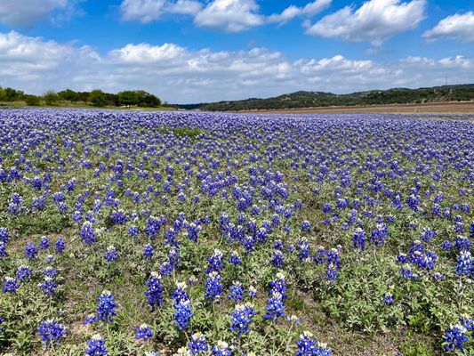 MULESHOE BEND RECREATION AREA - 122 Photos & 22 Reviews - 2820 County ...