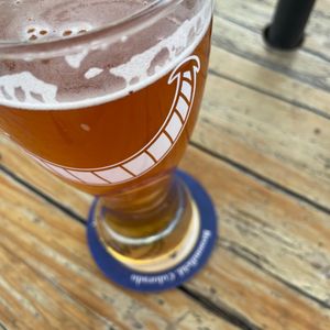 FROLIC BREWING - Updated June 2024 - 92 Photos & 139 Reviews - 12910 ...