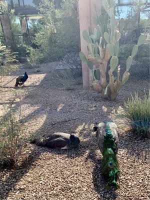 GLENDALE PUBLIC LIBRARY - Updated October 2025 - 89 Photos & 21 Reviews ...