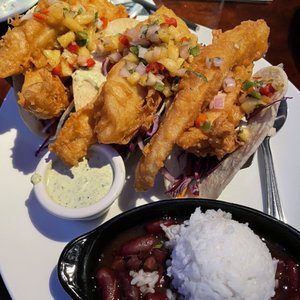 DOWNTOWN AQUARIUM - 1824 Photos & 970 Reviews - 410 Bagby St, Houston ...