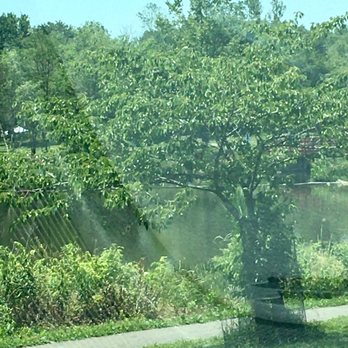 BEN BRENMAN PARK - Updated December 2025 - 128 Photos & 50 Reviews ...