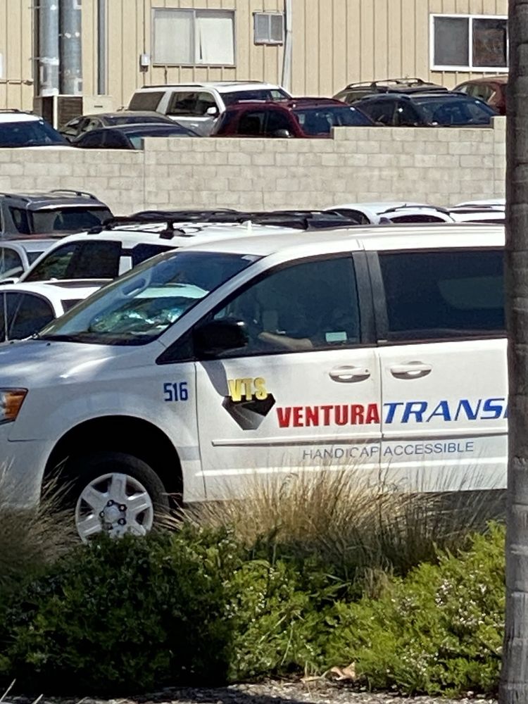 GOLD COAST TRANSIT - Updated October 2024 - 14 Photos & 13 Reviews ...