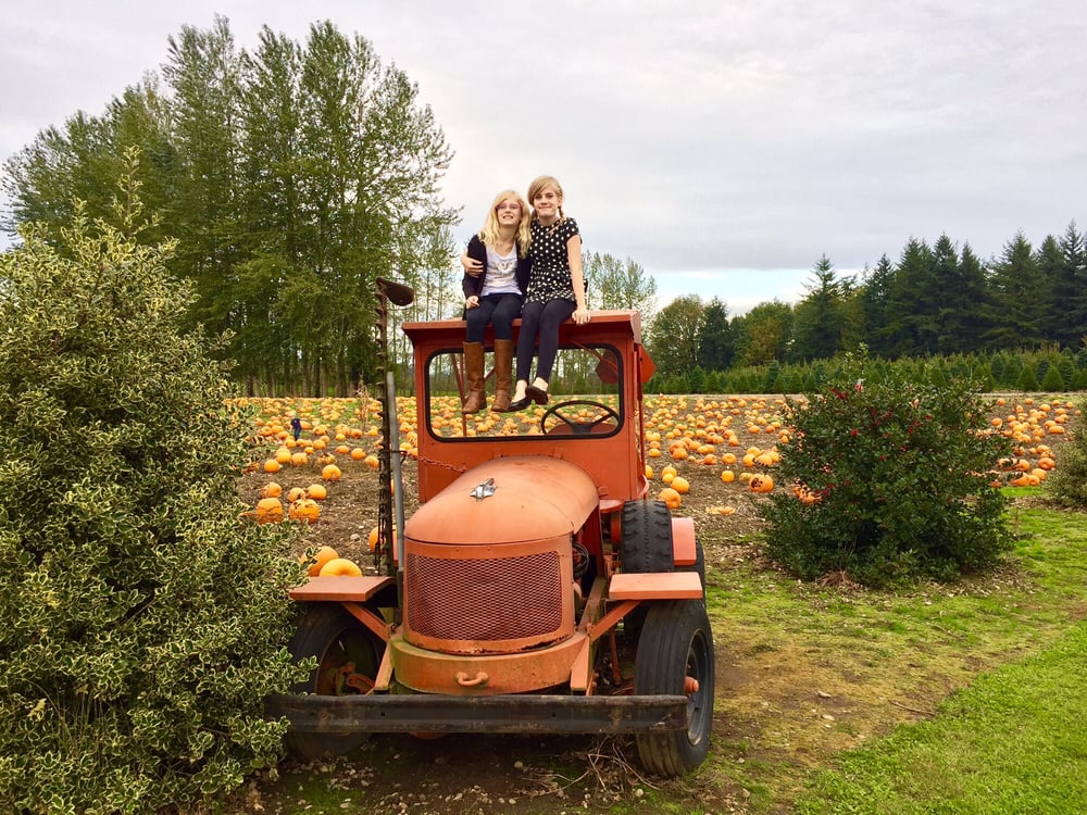 STONEY RIDGE FARM - Updated October 2025 - 2092 Van Dyk Rd, Everson ...