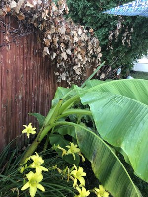 PECO - Updated February 2026 - 27 Photos & 112 Reviews - 2301 Market St ...