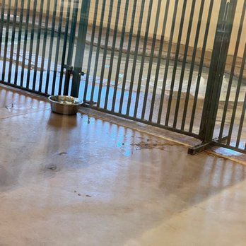 CLUB PET RESORTS DIA - Updated April 2026 - 90 Photos & 154 Reviews ...