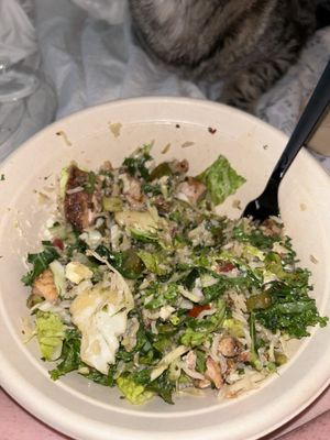 CAVA - Updated January 2026 - 13 Photos & 17 Reviews - 2910 Little Rd, Trinity, Florida ...