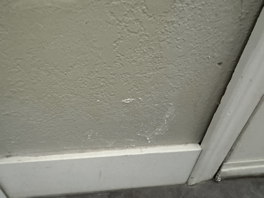 LUX WINDOWS AND DOORS - Updated January 2026 - 20 Reviews - 6875 9 St ...