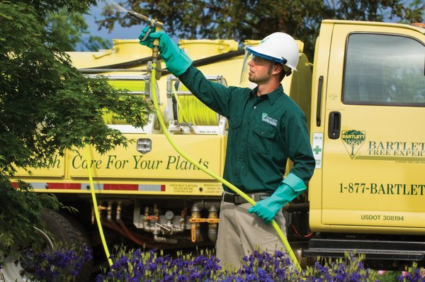 BARTLETT TREE EXPERTS - Updated December 2025 - 60 Photos - Salisbury, Maryland - Tree Services ...