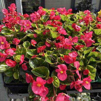 BAMBOO NURSERY & GARDEN SUPPLIES - Updated April 2025 - 18 Photos ...