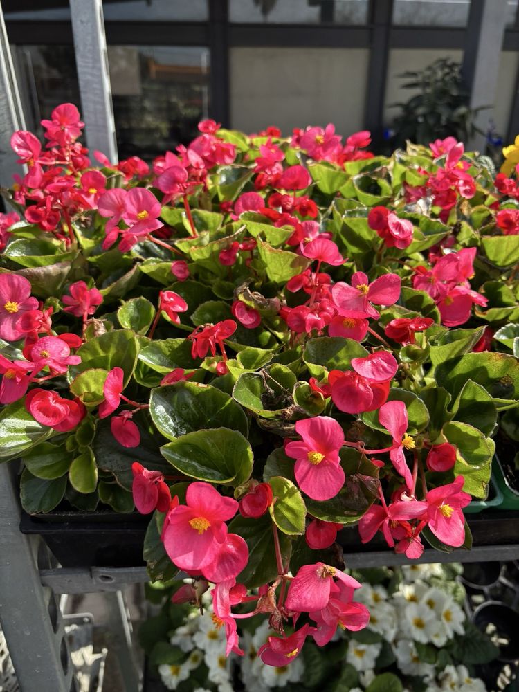 BAMBOO NURSERY & GARDEN SUPPLIES - Updated January 2026 - 28 Photos ...