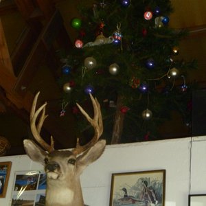 REEDER BEACH RV PARK & COUNTRY STORE - 17 Photos & 13 Reviews - 26048 ...