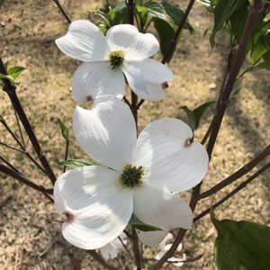 HUGHES PLANT FARM - Updated August 2024 - 19980 US-69, Tyler, Texas ...