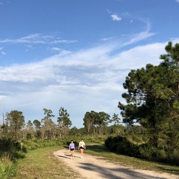 UCF ARBORETUM - Updated October 2025 - 43 Photos - 4312 Scorpius St ...