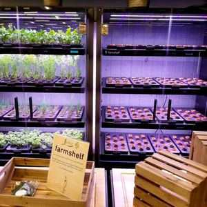 CLEMENTS’ MARKETPLACE - Updated July 2025 - 1150 Hope St, Bristol ...