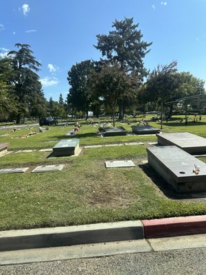St Peters Cemetery - Updated May 2026 - 22 Photos & 26 Reviews - 264 N ...