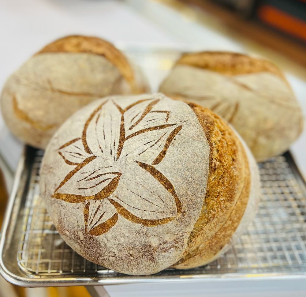 ANH’S BREAD THERAPY - Updated August 2025 - 13 Photos - 77 16th Ave SW, Cedar Rapids, Iowa ...