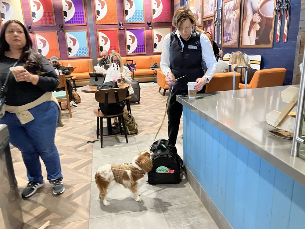 HUGO COFFEE ROASTERS - Updated October 2024 - 27 Photos & 13 Reviews ...