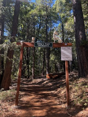 HARMONY RIDGE RESORT - Updated December 2025 - 93 Photos & 56 Reviews ...