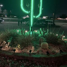 NEON CACTUS - Updated March 2025 - 231 Photos & 199 Reviews - 241 E ...