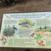 POGONIP - 217 Photos & 36 Reviews - Parks - 333 Golf Club Dr, Santa ...