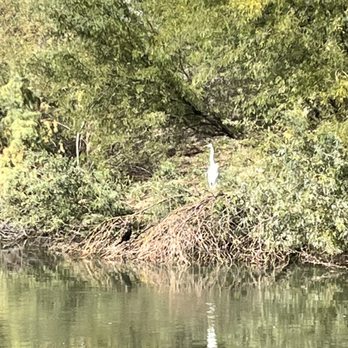 RIPARIAN PRESERVE AT WATER RANCH - 653 Photos & 231 Reviews - 2757 E ...