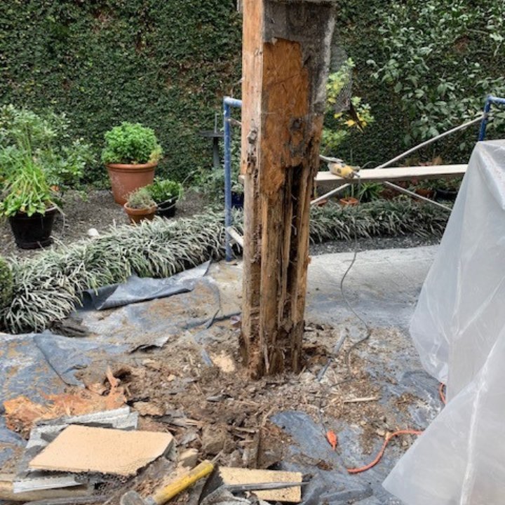 PESTOP - Updated August 2025 - 27 Photos - 10818 Donna Dr, Houston ...