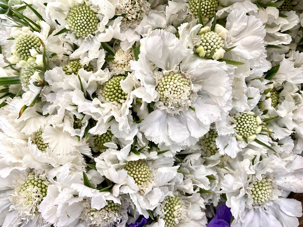 NORTHERN CALIFORNIA FLOWER SHIPPERS - Updated August 2025 - Request ...