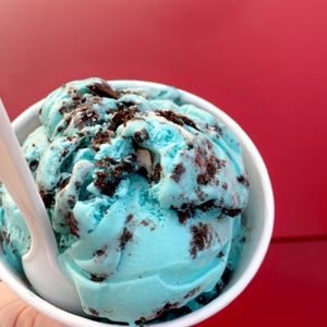 KELLY’S HOMEMADE ICE CREAM - 748 Photos & 482 Reviews - 3114 Corrine Dr ...