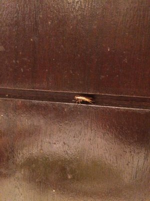 IL MEE BUFFET RESTAURANT - CLOSED - 201 Photos & 485 Reviews - Korean ...