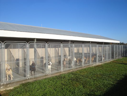 SUNNY RIDGE KENNELS - Updated December 2025 - 5501 Sunny Ridge Dr ...