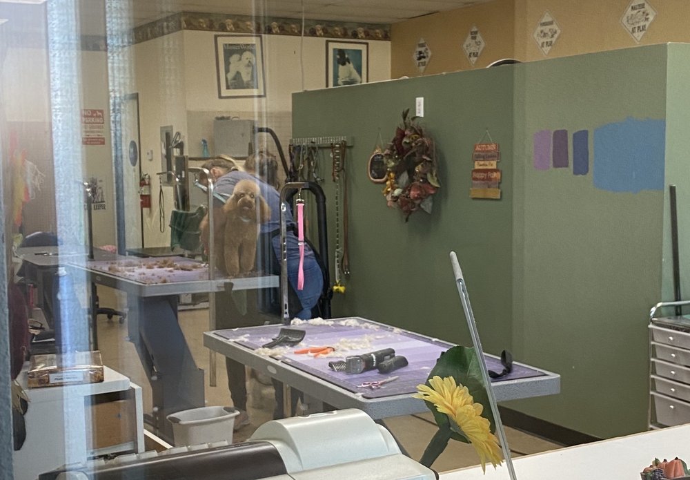 SUPERMUTTS - 47 Photos & 40 Reviews - 73722 El Paseo, Palm Desert ...