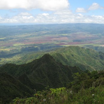 MT KA’ALA TRAIL - Updated September 2025 - 343 Photos & 45 Reviews ...