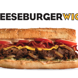 Which Wich Reviews | Read Customer Service Reviews of whichwich.com