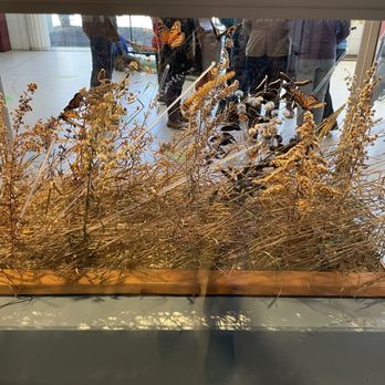 ECOTARIUM - Updated January 2026 - 452 Photos & 92 Reviews - 222 ...