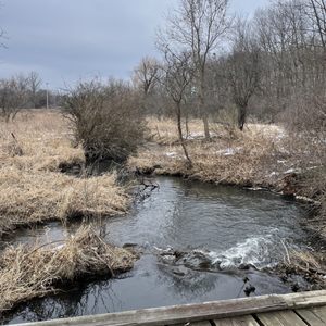 HILLSDALE COLLEGE - Updated January 2025 - 23 Photos & 22 Reviews - 33 ...