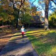 MICKE GROVE PARK - 119 Photos & 52 Reviews - 11793 N Micke Grove Rd ...