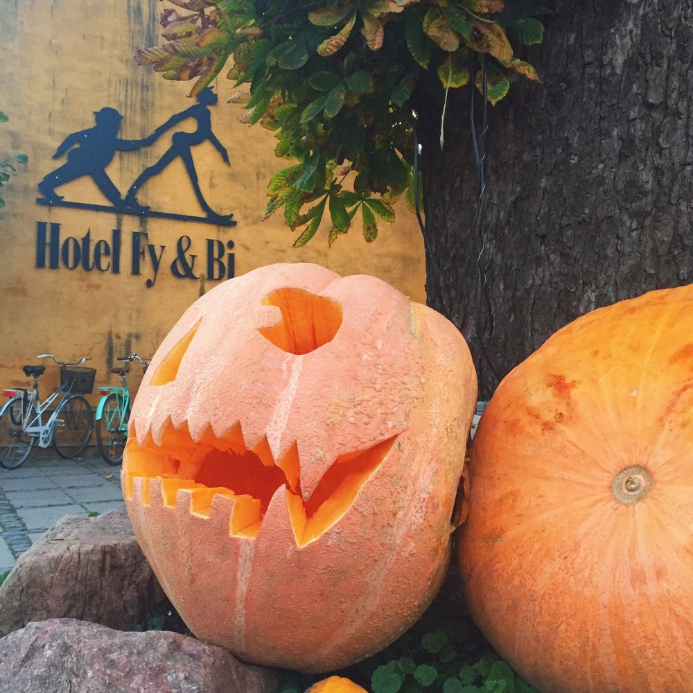 FY OG BI HOTEL - Updated June 2024 - Valby Langgade 62, Valby, Denmark ...