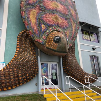 TURTLE ISLAND - Updated January 2026 - 11 Photos - 6516 Padre Blvd ...