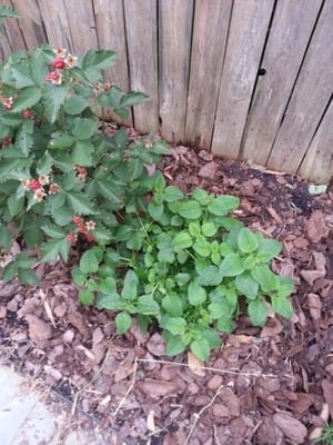 JIM SCOTT COMMUNITY CENTER - Updated December 2025 - 20 Photos - 3001 ...