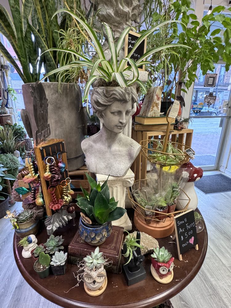 PIXIE MOSS MEADOWS - Updated December 2025 - 65 E Market St, Corning, New York - Florists ...