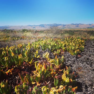 LOS FLORES RANCH PARK - Updated October 2025 - 22 Photos & 14 Reviews ...