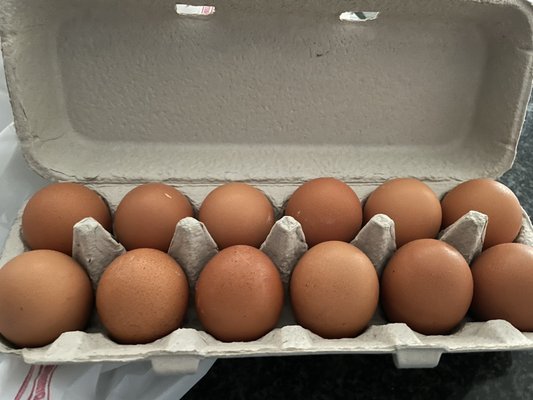 LA BAHN RANCH - Updated October 2025 - 20 Reviews - 1329 S Main St ...