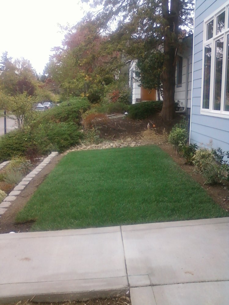 EDWARD R SEETO - Updated May 2024 - Seattle, Washington - Lawn Services ...