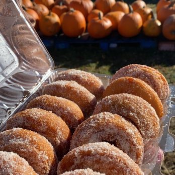 STUCKEY FARM ORCHARD AND CIDER MILL - Updated September 2024 - 166 ...